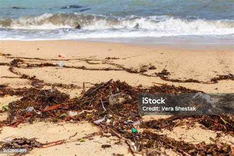 바다 모래 해변의 쓰레기 분류되지 않은 쓰레기 비닐 봉지 유리 병 금속 캔 쓰레기 쓰레기 더미 쓰레기 더러운 바닷물 환경 오염 생태 문제 개념 폐기물 관리 0명에 대한 스톡