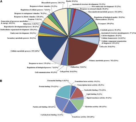 Gene Ontology Analyses Of Heterochronically Expressed Genes In