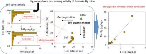 Itomuka 汞矿排放的土壤中汞的分布、烷基化和迁移 Science Of The Total Environment X Mol