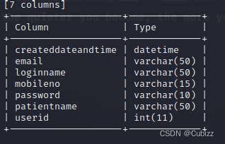 HMS v1 0 SQL注入 CVE 2022 23366 CSDN博客