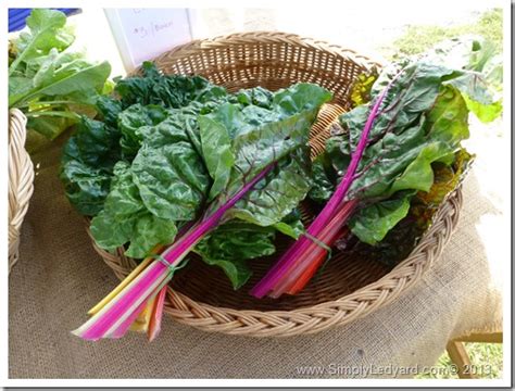 Ledyard Photo Friday Colors At The Farmers Market Simply Ledyard Ct