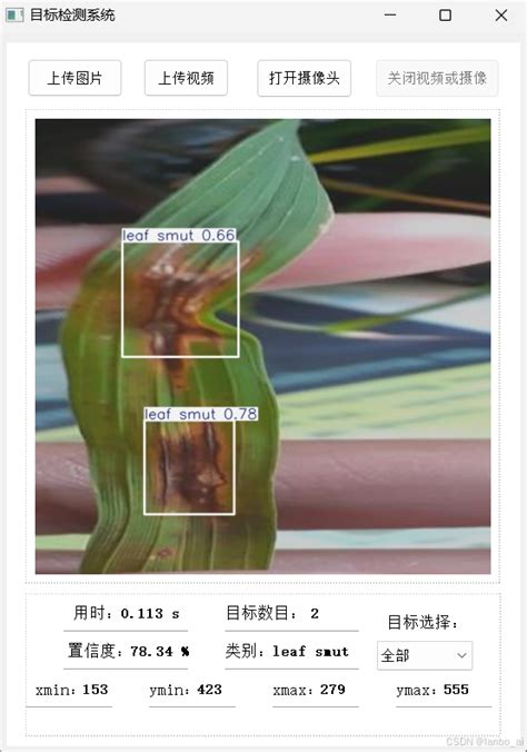 基于yolov11的水稻病害检测系统，支持图像、视频和摄像实时检测【pytorch框架、python源码】 Csdn博客
