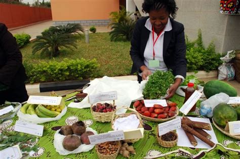 African Traditional Medicine Day 2012 Who Regional Office For Africa