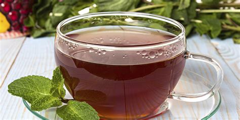 Descubre 6 tipos de té y sus fantásticos beneficios
