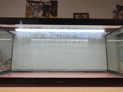 150liter Aquarium komplett | Kaufen auf Ricardo