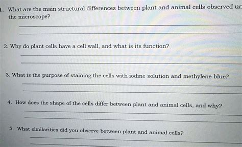What Are The Main Structural Differences Studyx