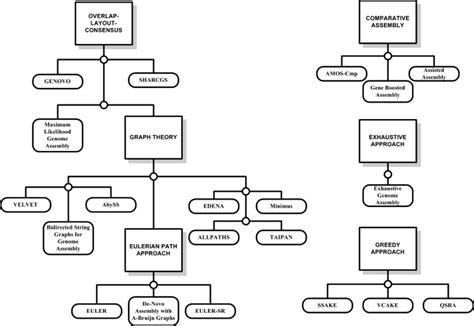 schemes and their associated algorithms the figure depicts the most