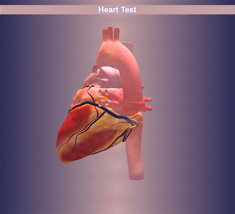 3d Webgl Framework Tests Behance