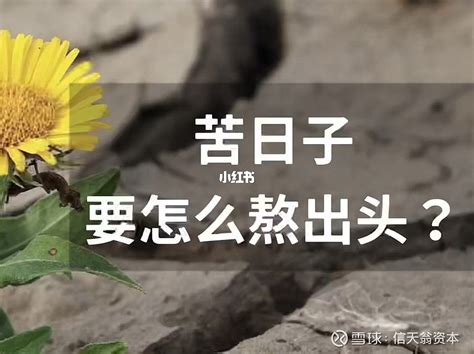 15年大梦一场，a股终于要熬出头了 贵州茅台sh600519 2007年股权分置改革造就了超级牛市、导致股价严重偏离基本面严重高估、挖