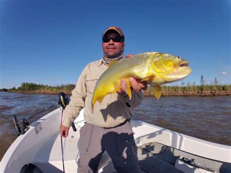 Dónde ir a pescar este fin de semana Pesca Infobae