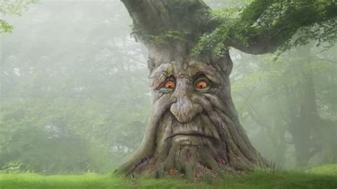 Create Meme Wise Mysterious Tree Pumped Up Oak The Mystical Tree