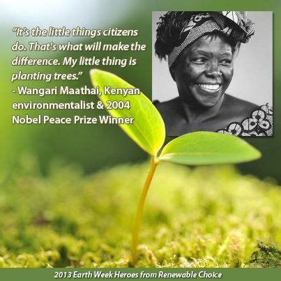 Wangari Maathai Quotes
