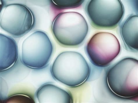 Microspheres Drug Delivery