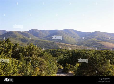 Dense Forest Against The Backdrop Of Plantations And Mountain Hills