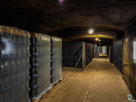 meilleures dégustations de vins en Loire caves vignobles