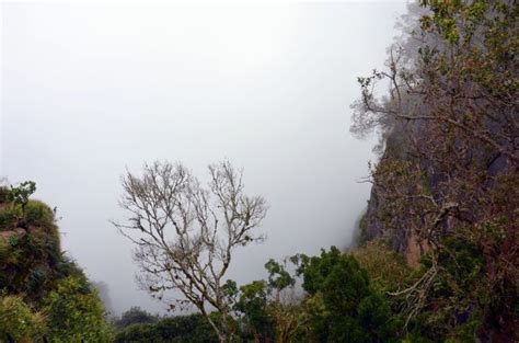 Devils Kitchen Kodaikanal What To Expect Timings Tips Trip