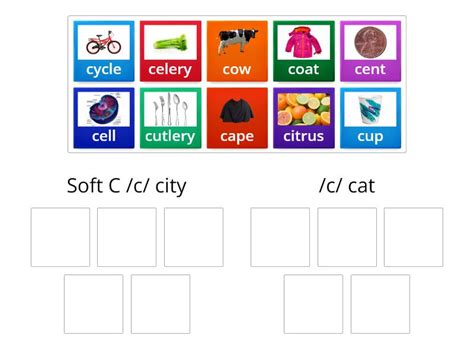 Soft C Sort Group Sort