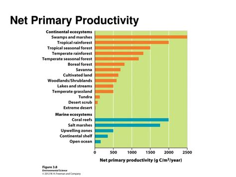 Ppt Chapter 3 Ecosystem Ecology Powerpoint Presentation Free