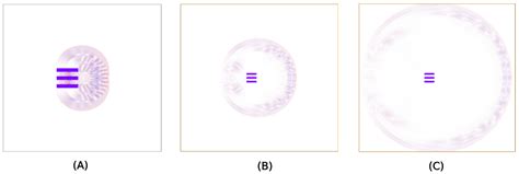 Applied Sciences Free Full Text Accelerating Electromagnetic Field Simulations Based On