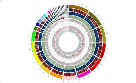 Circos Plots Of The Botryosphaeria Dothidea Lw Hubei Genome Circos