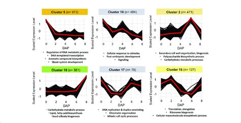 examples of non overlapping k means clusters of co expressed genes