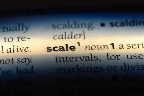 Scale Stock Photo Image Of Dictionary Concept Word