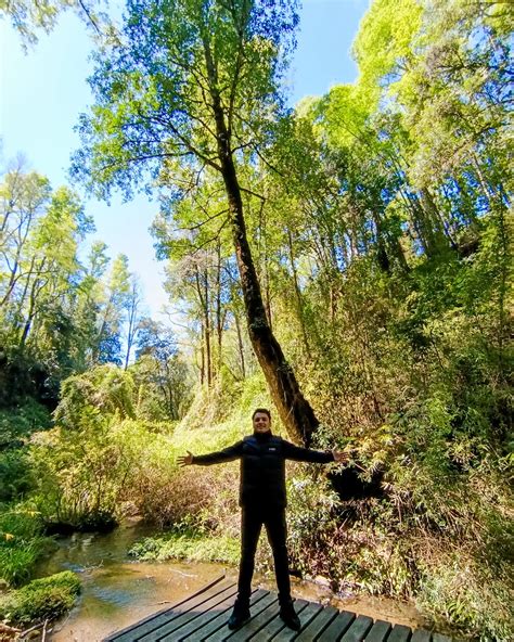 Patrick Vidal Patrickvidalcifuentes • Instagram Photos And Videos