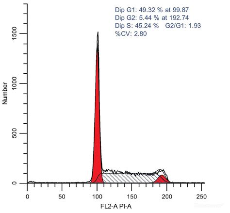 Cell Cycle Assay Kit Red Fluorescence Akes078 Assay Genie
