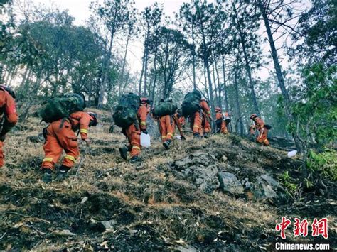丽江龙蟠乡森林火灾明火已全线扑灭
