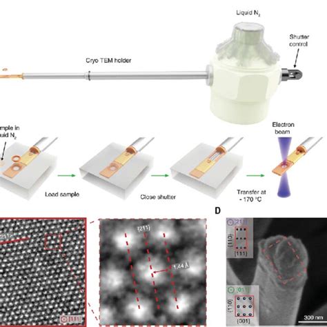 A Setup Where Li Metal Dendrites Are Electrochemically Deposited Download Scientific Diagram