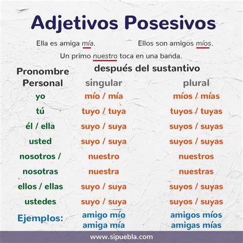 Adjetivos Posesivos Palabras De Ortografía Lecciones De Gramática