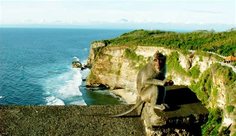 All Cities Indonesia Bali Must See South Coast Uluwatu Temple Tanah