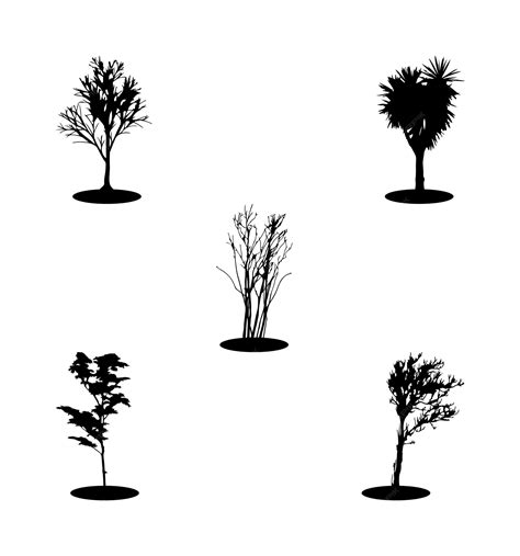 Premium Vector Tree Shiloutte Tree Illustrations Vector Tree Black Tree