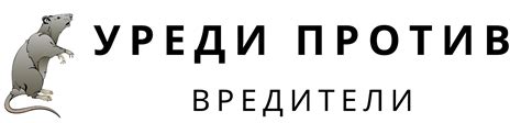 Натурални методи за отблъскване на мишки и плъхове