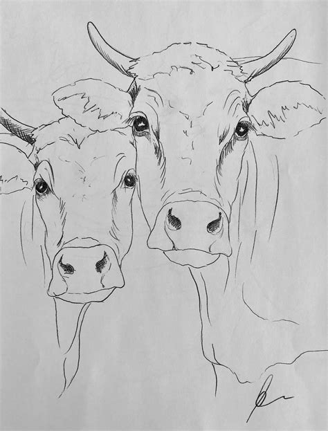 Cow Print Drawing Ideas At Ruby Godfrey Blog