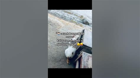 🤫 Fypppppppppppppppppppppppppppppppppppppppppppppppp Masukberandamuu Masukberandamuuu Youtube