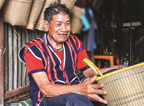 B U V T S Ng C A S Thi T Y Nguy N