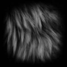 个 Brush alpha texture 点子 雕刻 艺术 头发