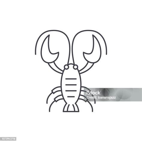 대 선 아이콘 개념입니다 왕새우 벡터 선형 그림 기호 심볼 갈고리 발톱에 대한 스톡 벡터 아트 및 기타 이미지 갈고리 발톱 갑각류 개체 그룹 Istock