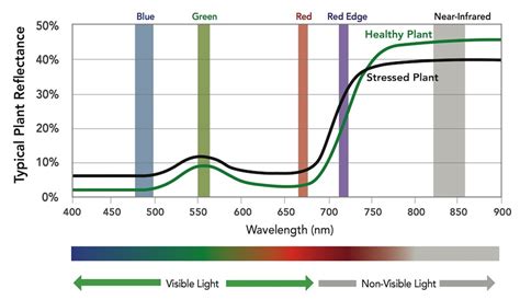 How To Determine Light Reflectance Value At Layla Butler Blog