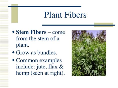 Fibers And Textiles Natural Or Synthetic Ppt Download