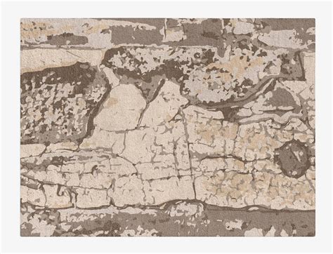 Antiquity Surface Art Rectangle Hand Tufted Handmade Custom Rug Rug