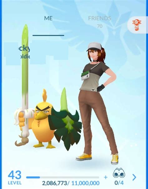Match Your Buddy Shiny Sir Fetchd In 2023 Tshirt Bag Pokemon Go