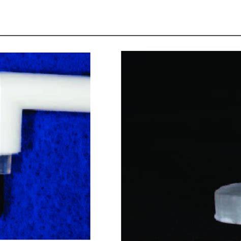 The Different Carriers Of Adhesive Solution Used Small Microbrush Download Scientific Diagram