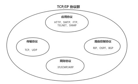 计算机网络体系结构 Mxsenn