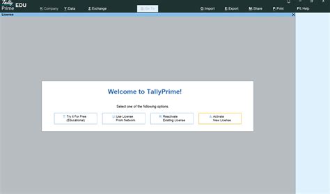 Tally Software Overview