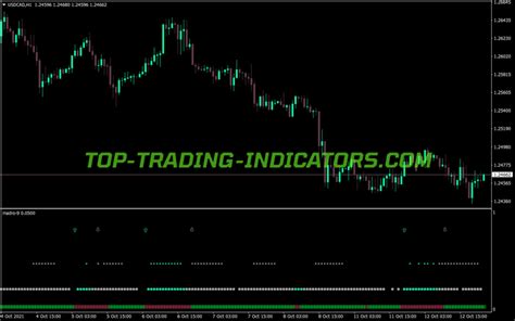 Braid Filter • Top Mt4 Indicators Mq4 Or Ex4 • Top Trading ♾️ Best Indicators