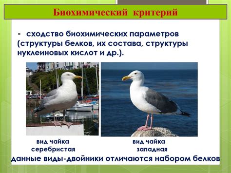 Вид Критерии вида Популяция элементарная единица эволюции