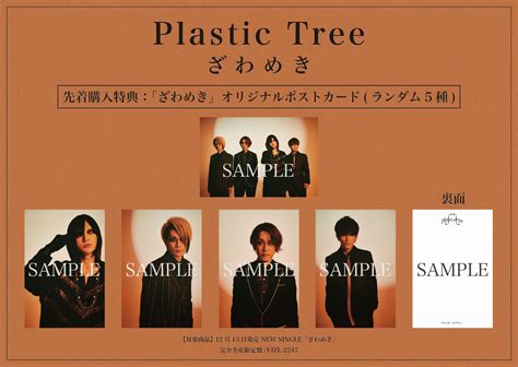 楽天ブックス 【早期予約特典先着特典】ざわめき 完全生産限定盤 Cd＋book「ざわめき」オリジナルブックカバー「ざわめき