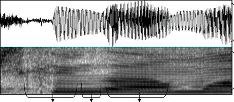 Spectrogram And Waveform Of The Words Can Grow An Example Of An Download Scientific Diagram
